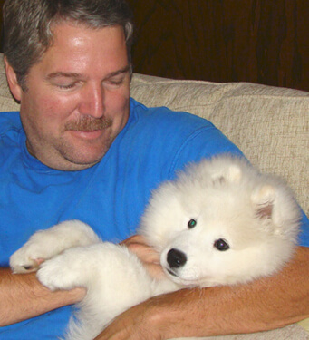 American Eskimo Training: Learn All About Training American Eskimos ...