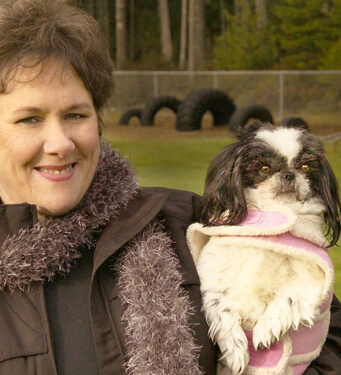 Japanese Chin Training: Learn All About Training Japanese Chins ...