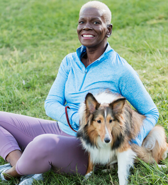 Shetland Sheepdog Training: Learn All About Training Shetland Sheepdogs ...