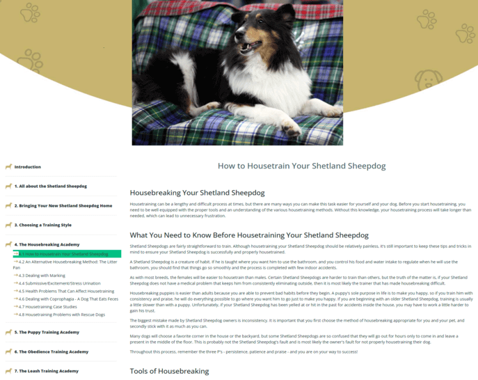 Shetland Sheepdog Training: Learn All About Training Shetland Sheepdogs ...
