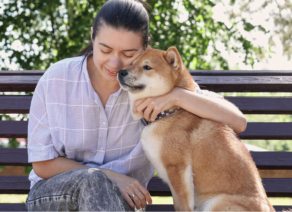 Shiba Inu Training: Learn All About Training Shiba Inus & Taking Care ...