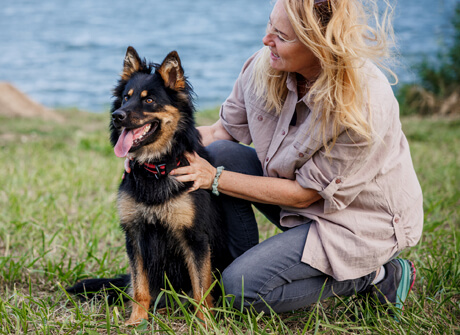 Bohemian Shepherd: Training Tips For Bohemian Shepherd Dog Breeds