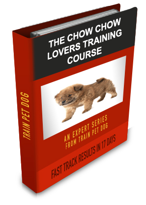Chow Chow Training: Learn All About Training Chow Chows & Taking Care ...