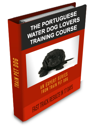 Portuguese Water Dog Training: Learn All About Training Portuguese ...